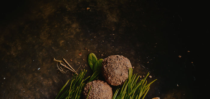 NELLEULLA – Sweets From Pure Nordic Forests