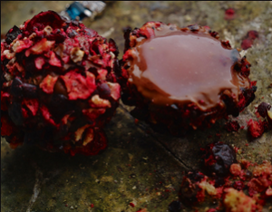 NELLEULLA – Sweets From Pure Nordic Forests